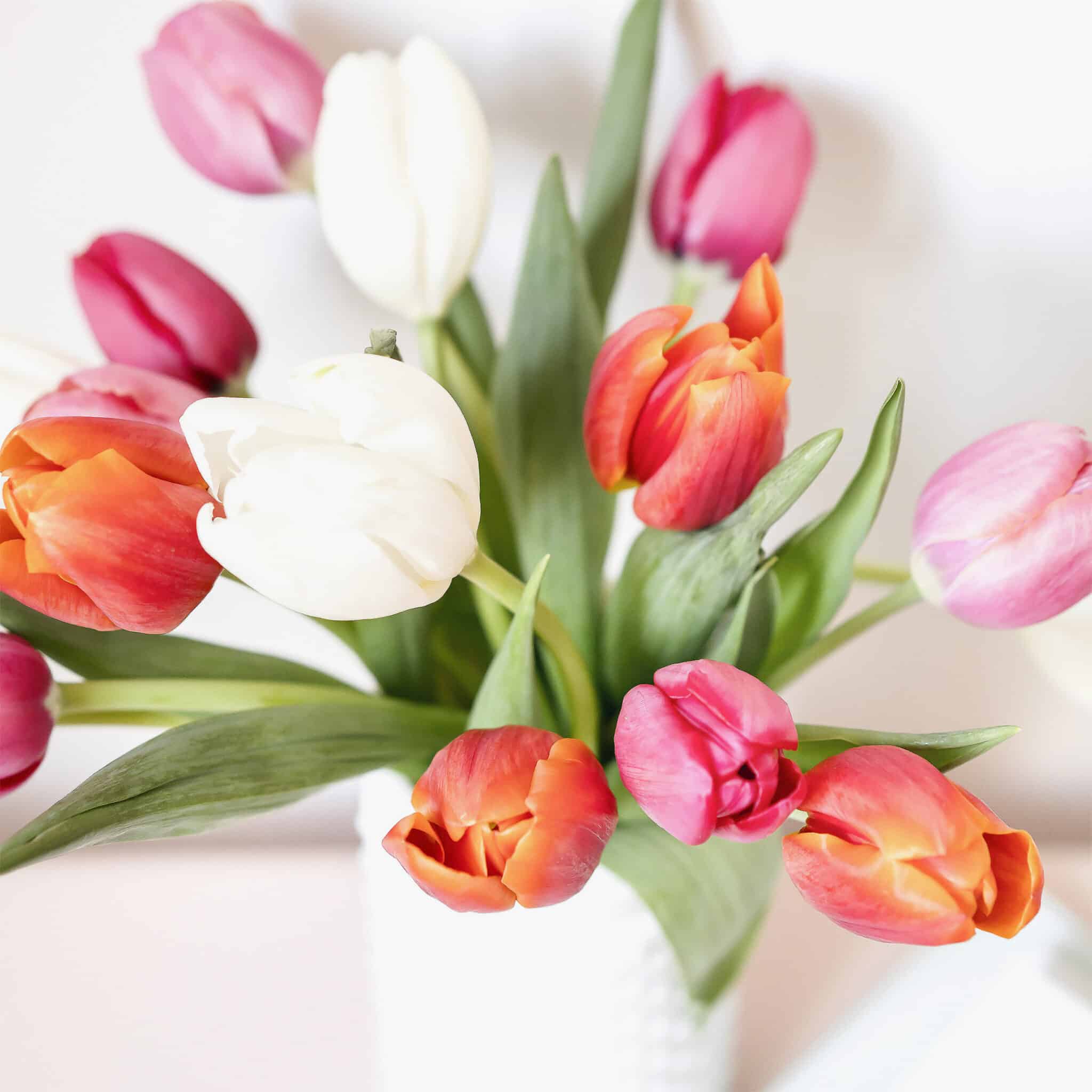 Hygge Life - Spring Edition - Snug & Cozy Life